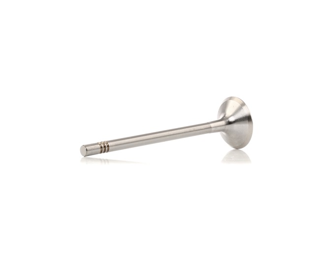 TRW Engine Component Inlet Valve 331131 Valve stem tip hardened ...